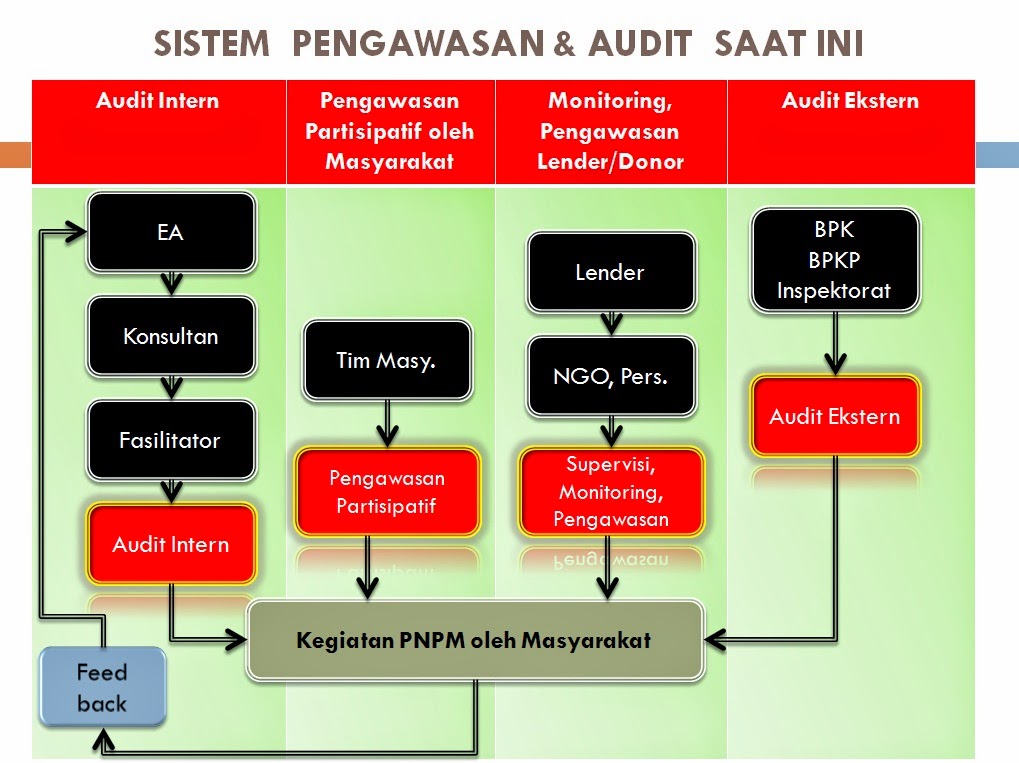 SISTEM PENGAWASAN DAN AUDIT PNPM MPd GENERASI | PNPM MPd Generasi Sehat dan Cerdas