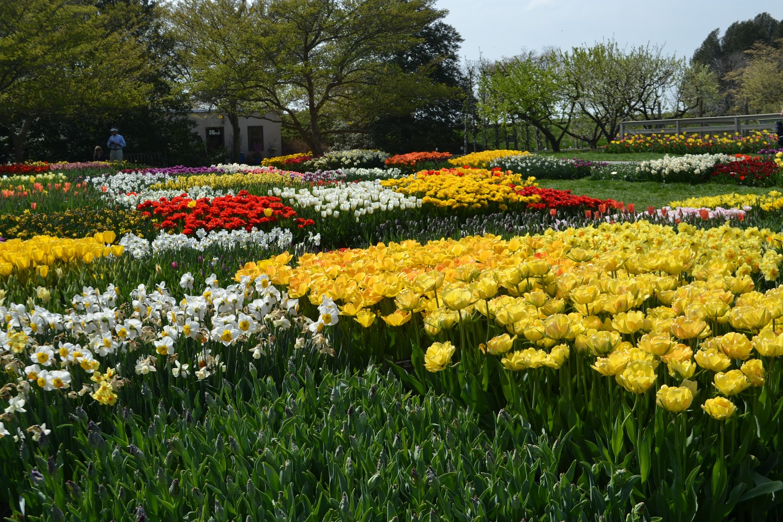 It's All About Purple: Longwood Gardens in Spring
