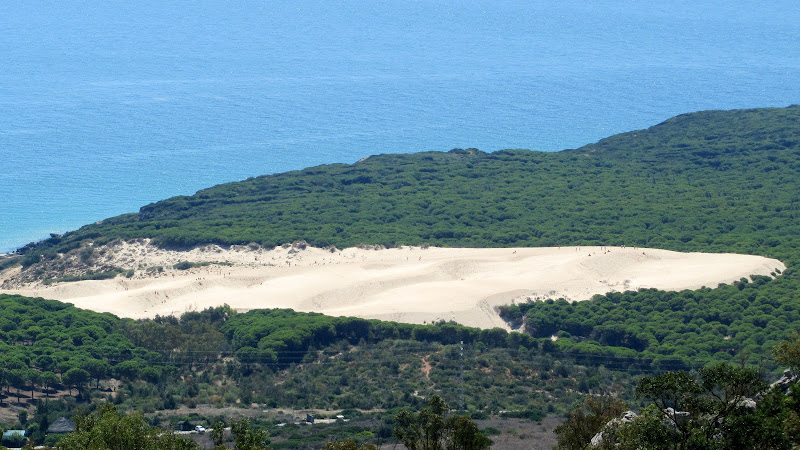 TROTONES BLOG: Duna de Bolonia