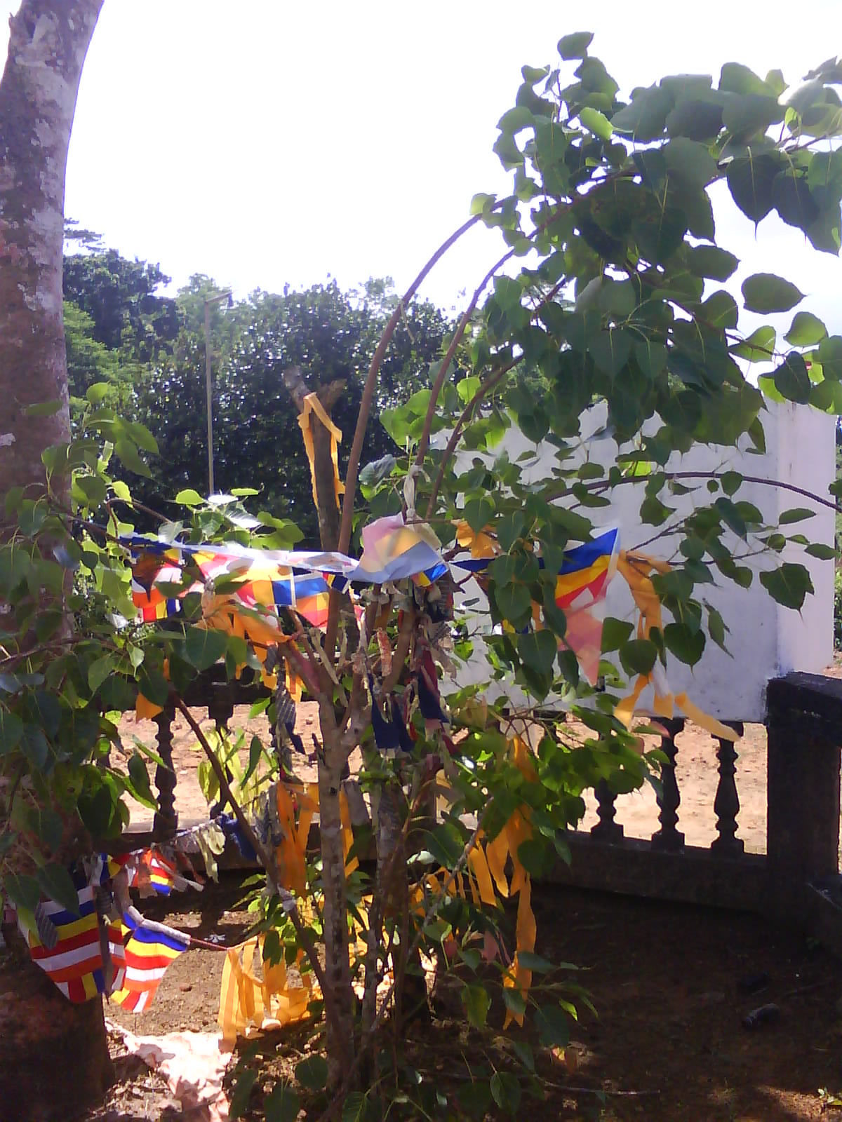 ILUKWATHTHA TEMPLE PROUD OF OUR VILLAGE: MAPIYA WANDANA Programme By ...