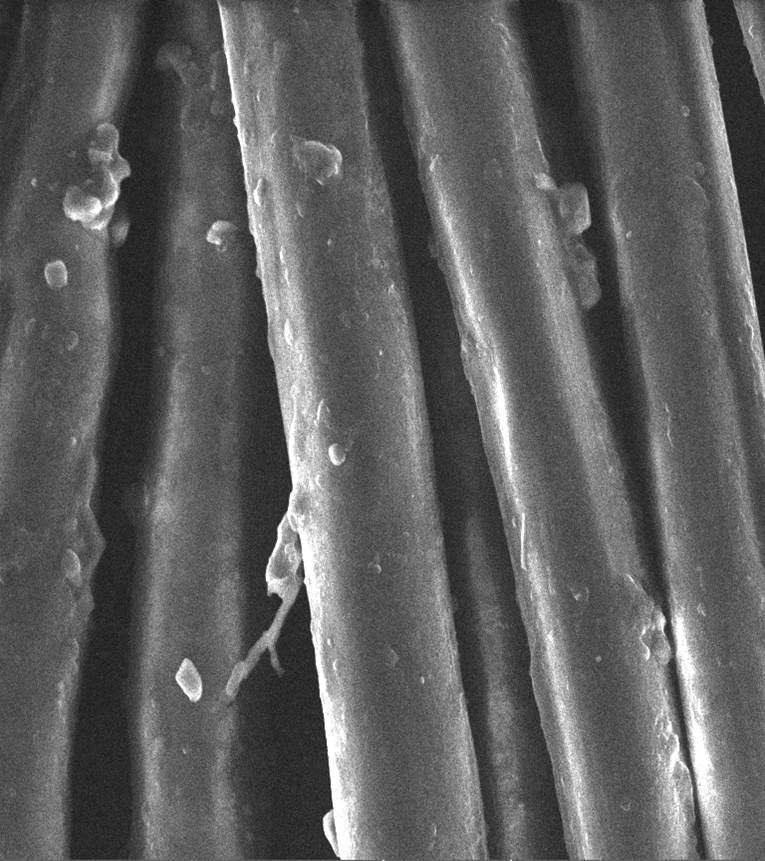 Up Close with Thread