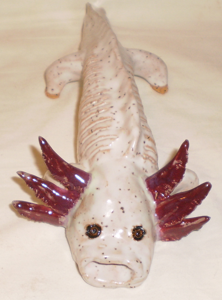 This is a sculpture of an axolotl, a Mexican salamander which spends ...