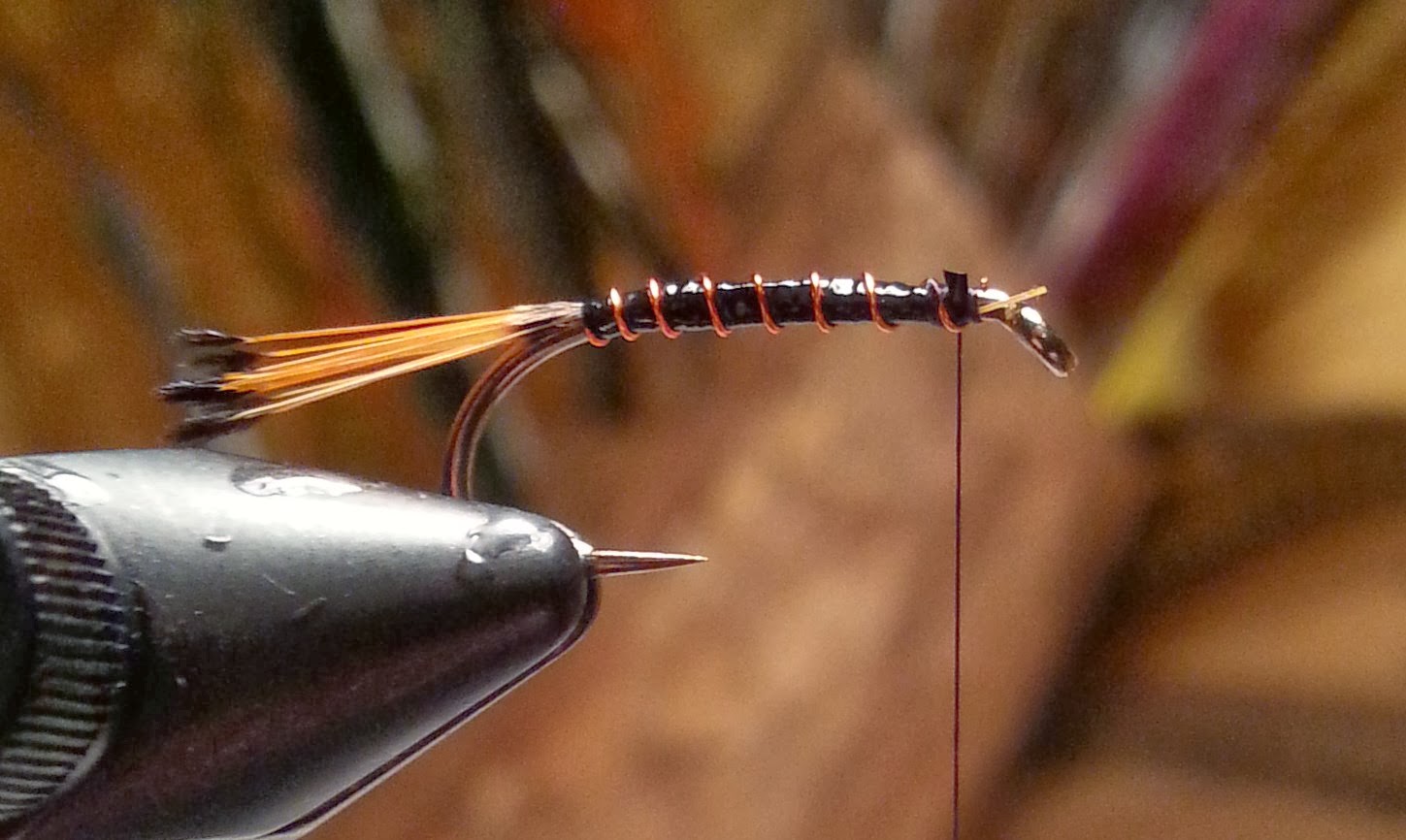 Piscari-Fly : The Pennell Variant