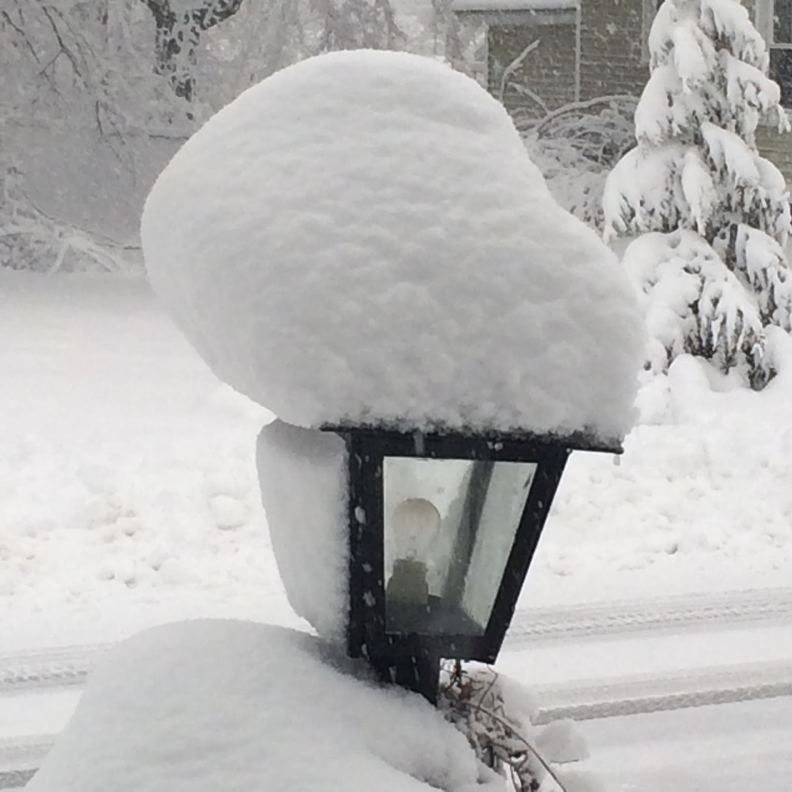 Maynard Life Outdoors and Hidden History of Maynard: Winter 2017-18 ...