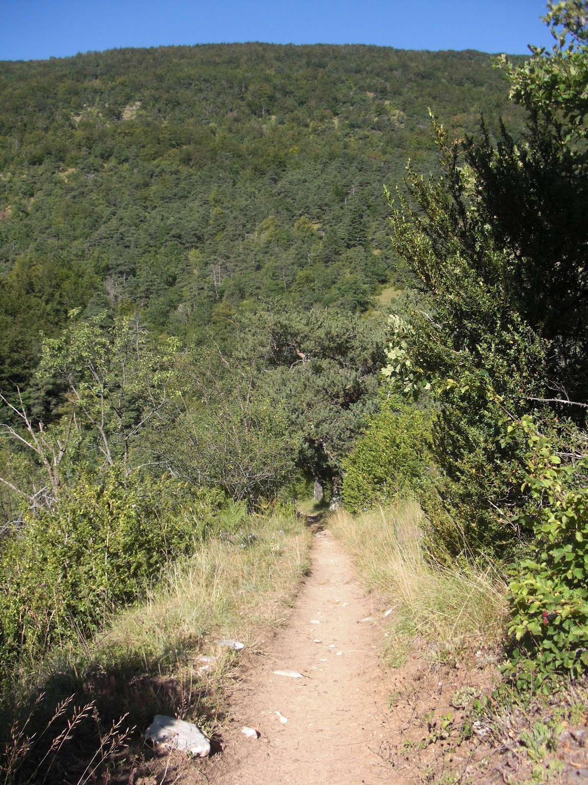 DROMESCAPE - Randonnées en Drôme et Escapades photographiques: Le ...
