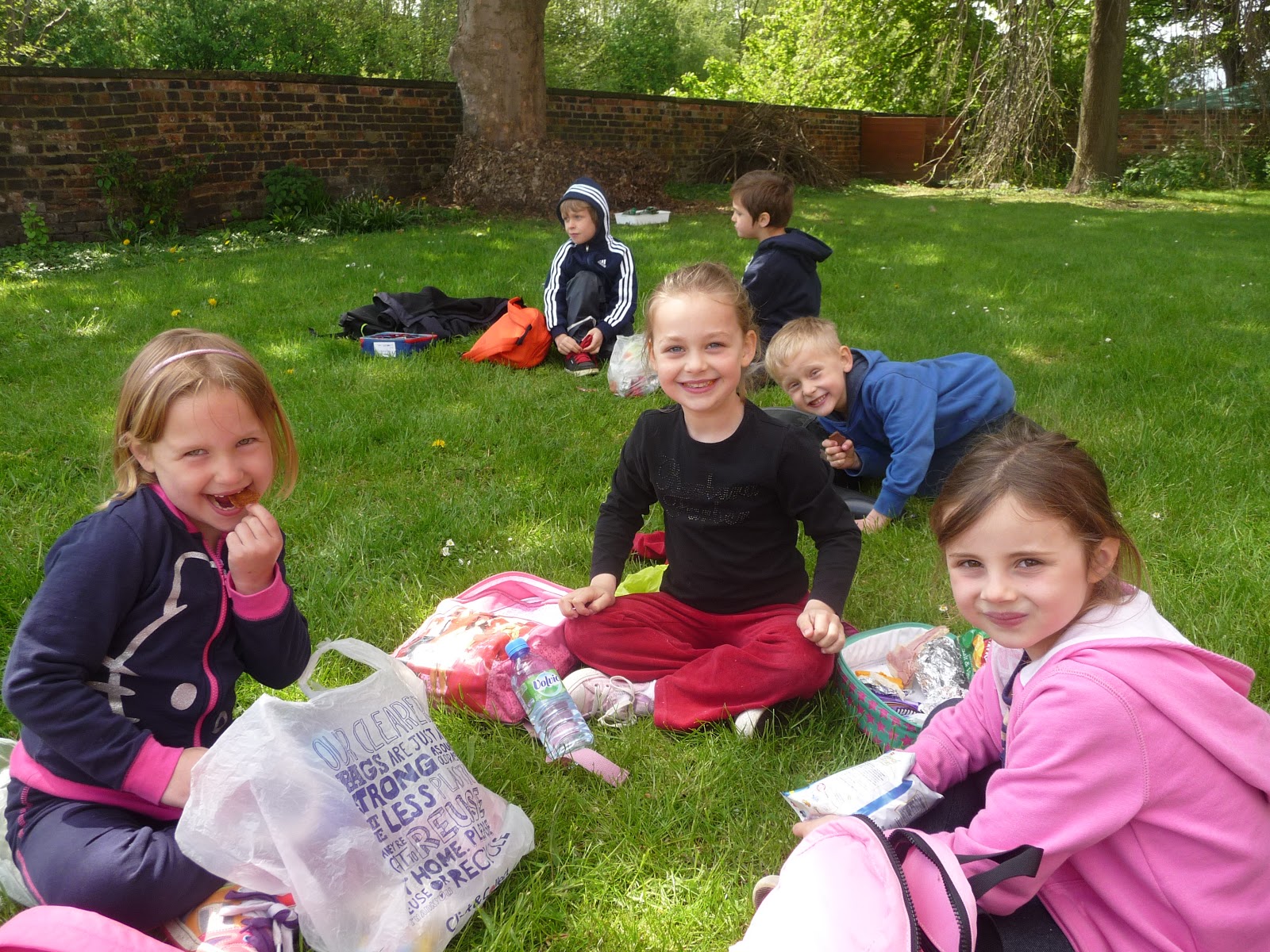 Harewood CE Primary School Web Log: Back to Nature Class 2