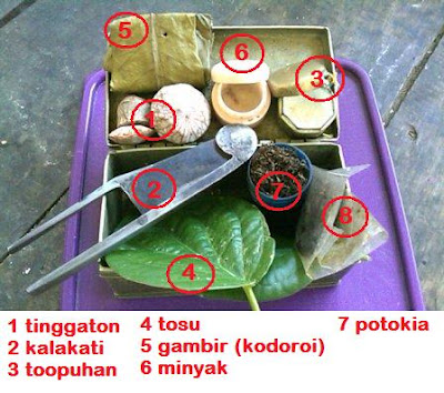 Dalam fikiran si LABU...: Kampil / po-nging-gatan / tapak sirih