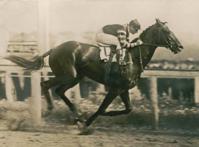 Story of the Week: Samuel Doyle Riddle