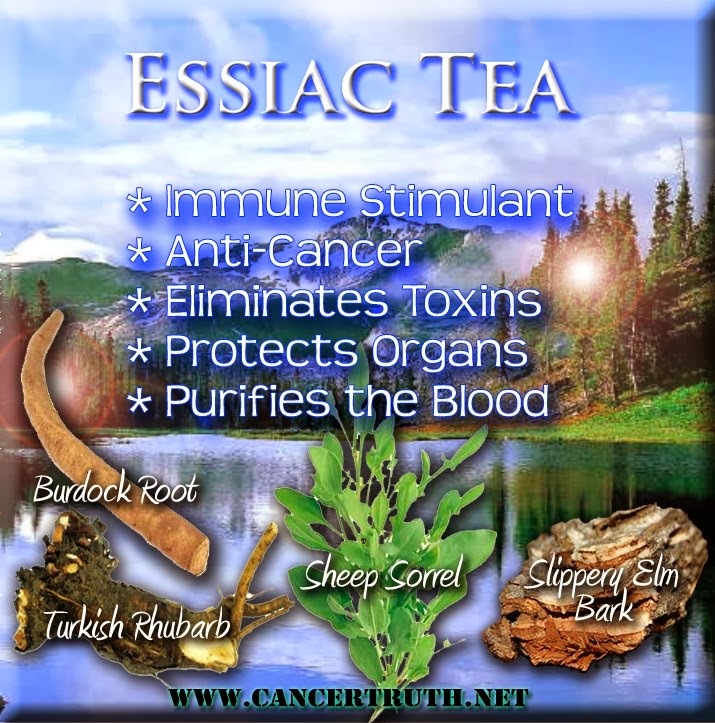 Stranger in a Strange Land: Essiac Tea: 4 Secret Ingrediants Treated ...
