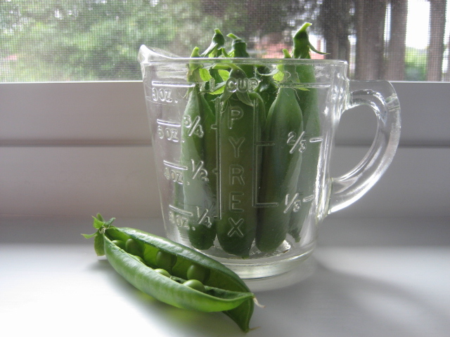 Six Balloons Vintage Delights: Vintage Pyrex Measuring Cup with Raised ...