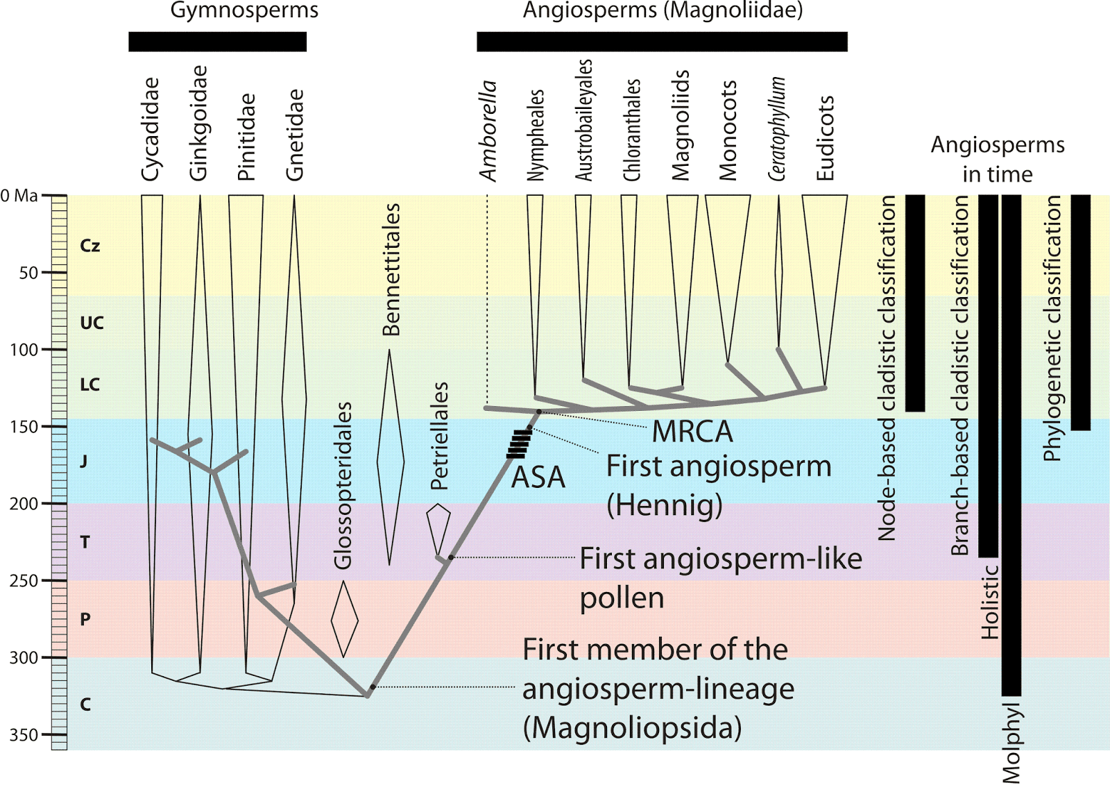Res.I.P. – an unprofessional science (and other things) blog: What is ...