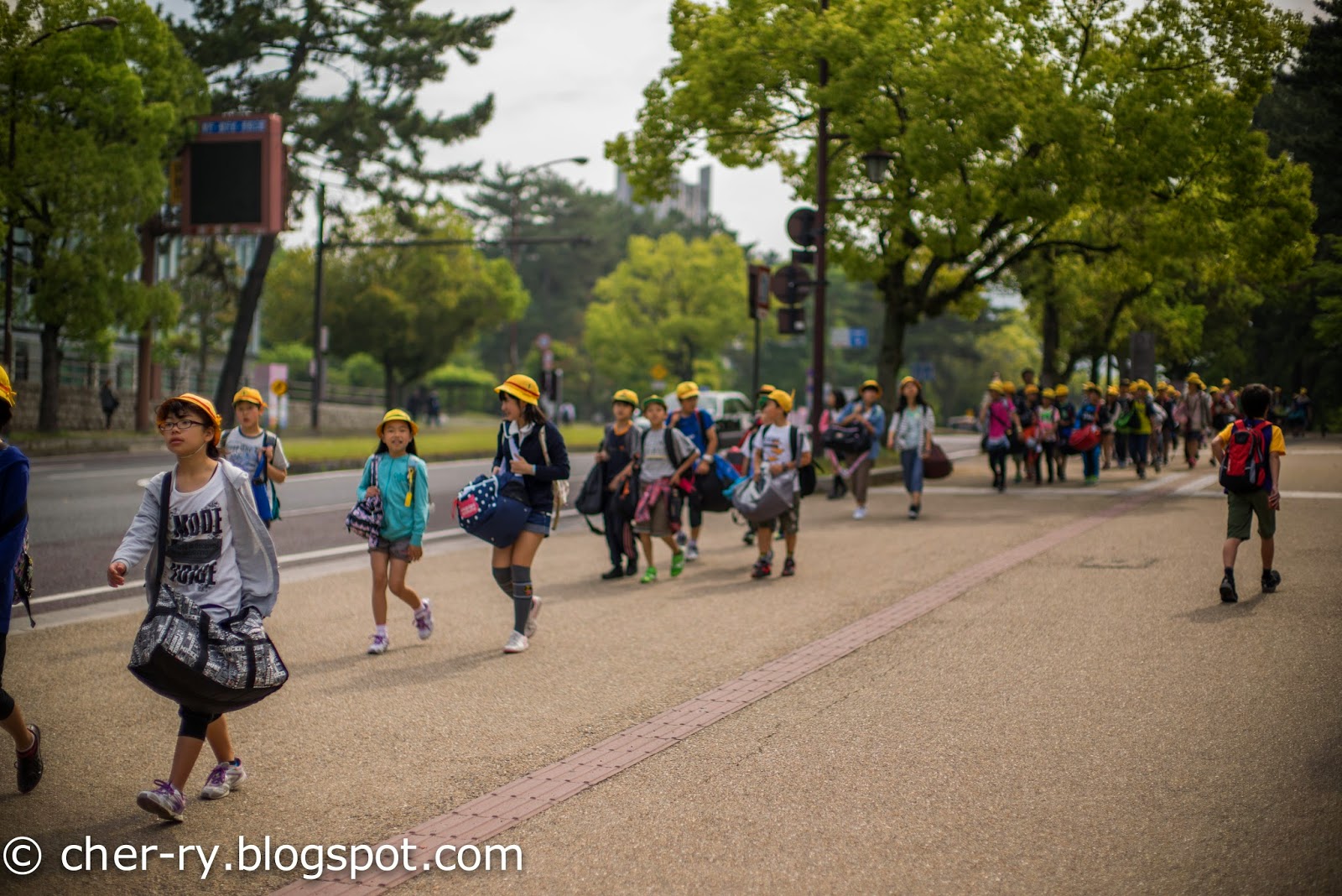 Life of a Lil Notti Monkey: Nara, Nara