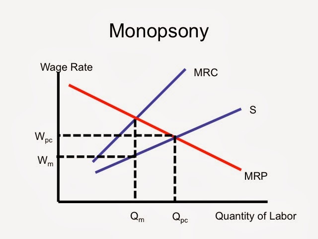 What is Monopsony ~ librarysbbu