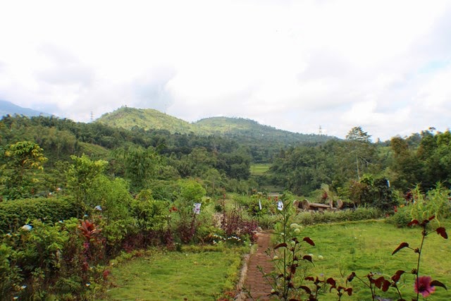 EYE SEE D' DIFFERENCE: BUKITTINGGI TRIP 3 :Tabek Patah & Batusangkar