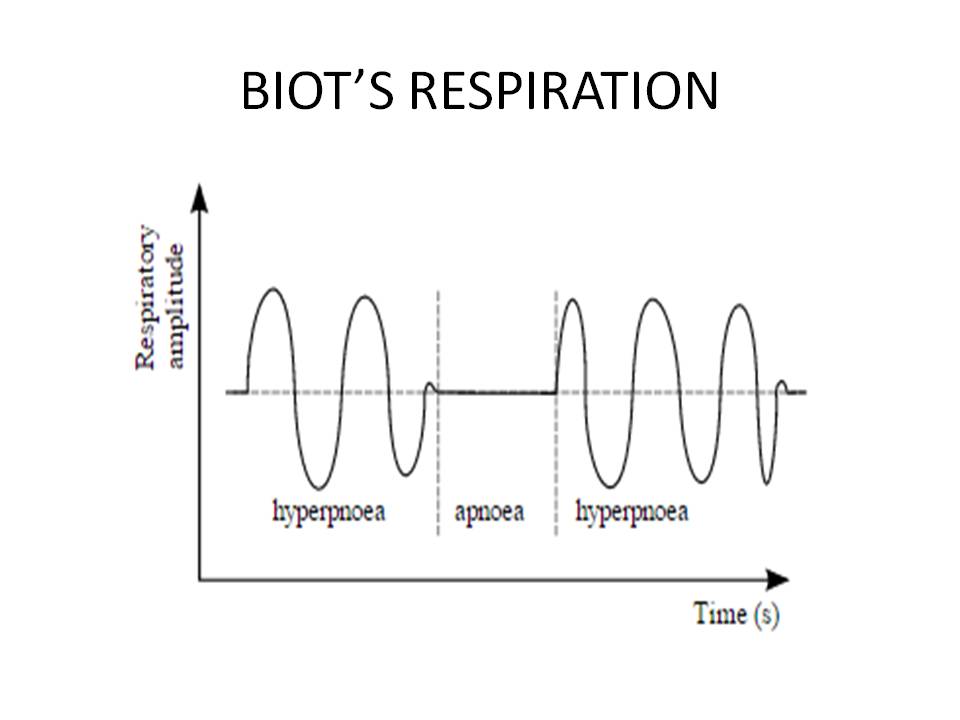 MEDICAL-SURGICAL NURSING REVIEW: QUICK OVERVIEW OF RESPIRATORY PATTERNS