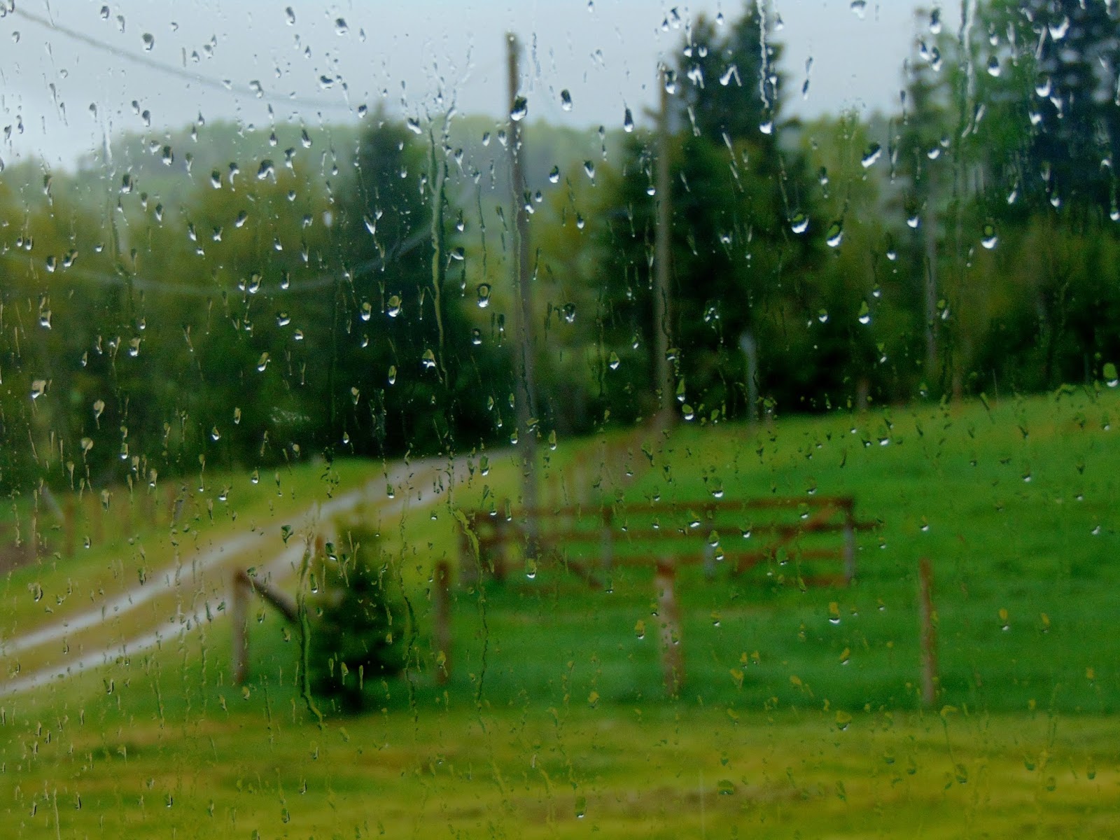 THE BLESSED HEARTH: A Rainy Evening at the Farm....