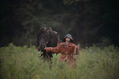 TELA DE CINEMA: O CORCEL NEGRO (Dublado) - 1979