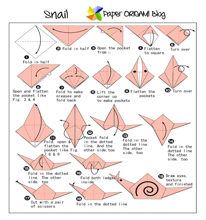 Animals Origami: A snail | Paper Origami Guide