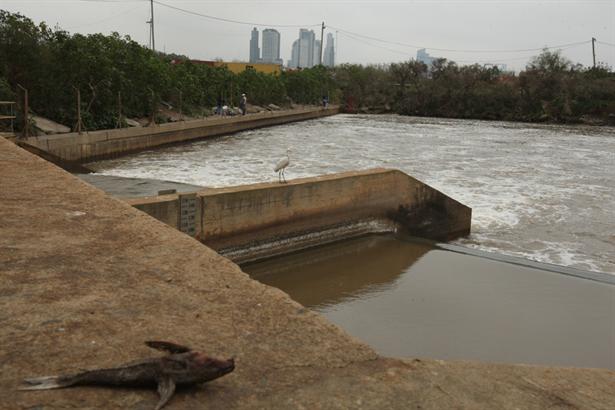 Desarrollo y Defensa: La isla Demarchi, entre el olvido y las críticas ...