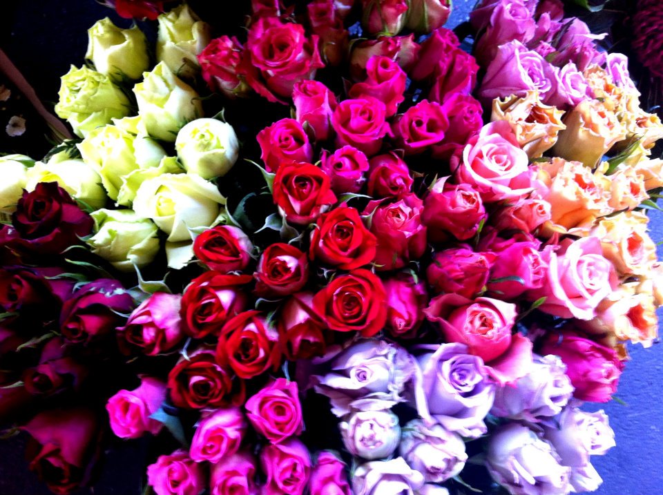 Essentially Australian: Spring flowers...sunshine and happiness...and a ...