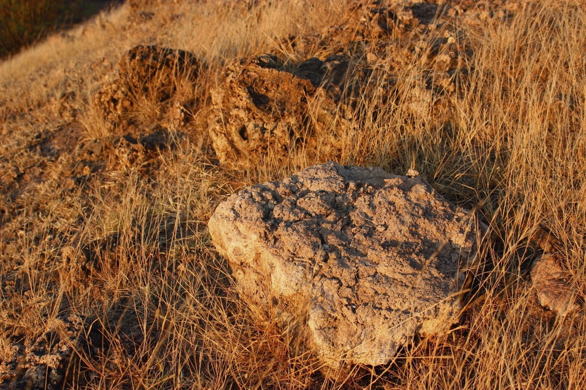 Journeys across Karnataka: Prehistoric Ash Mound of Kudathini