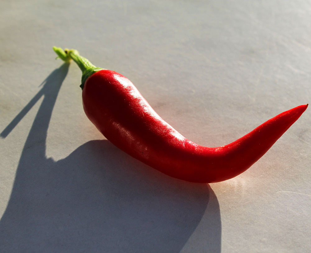 CHILI - EINE GESCHICHTE