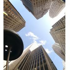 Morena News, Chambal Safari, Attractive Rivers In Morena