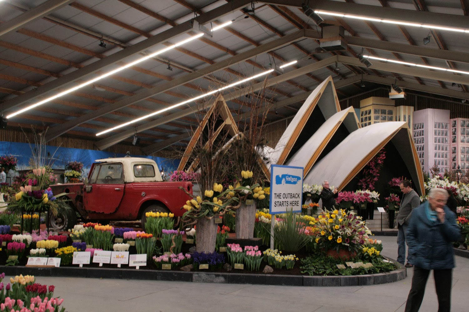 Terug naar Australië: Lentetuin; Australië tussen de tulpen (week 9 van ...