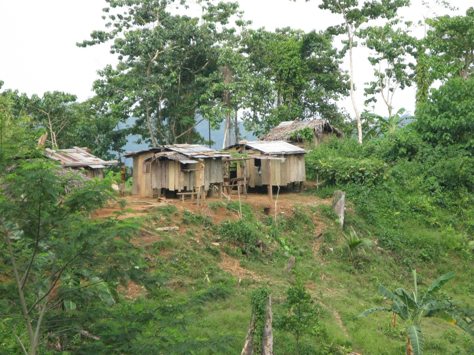 pook rural - philippin news collections