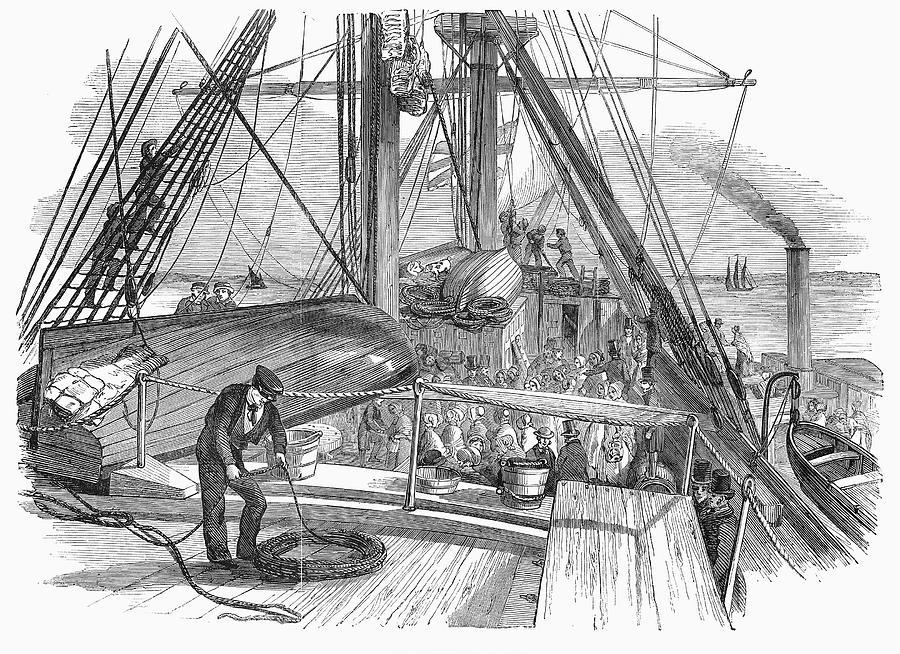 Stems, Branches, and Seeds