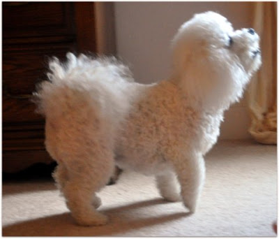 silvieon4: Starting MY day on the right paw