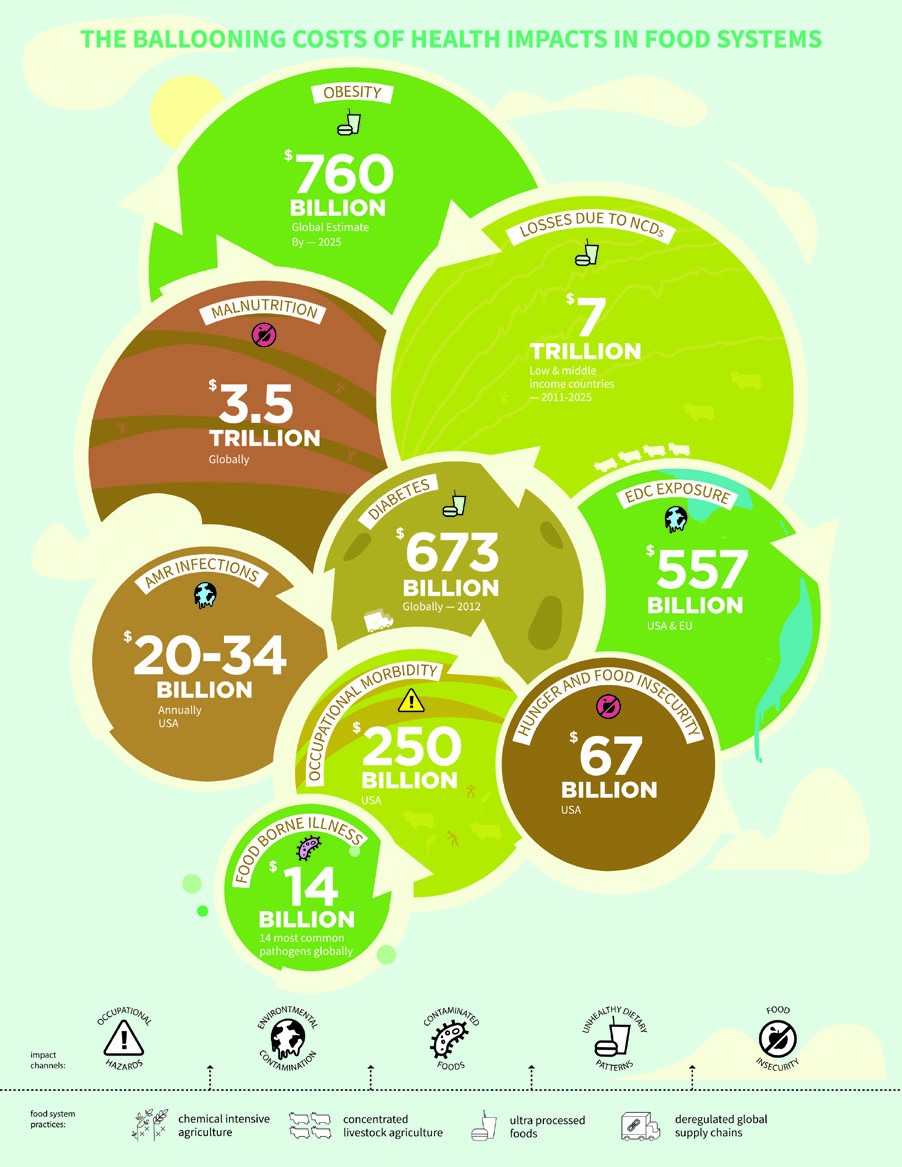 Our Food System - a Health Hazard - resilience