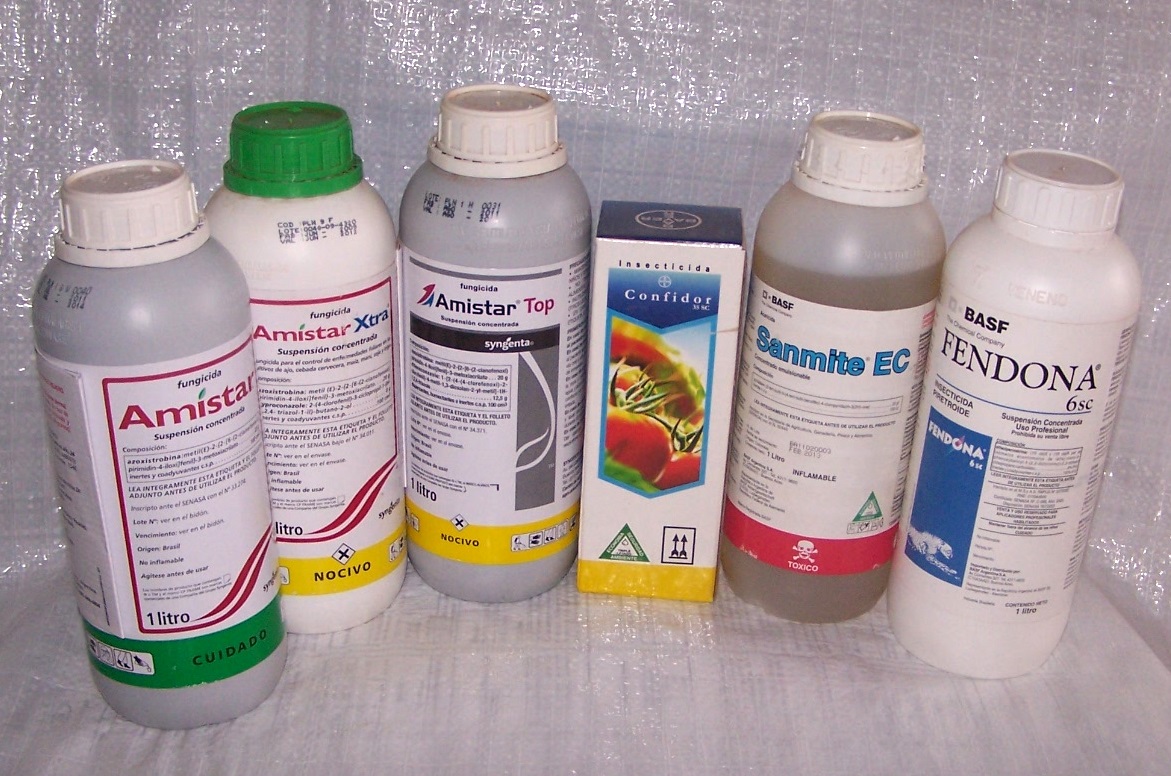 AGROSERVICIOS del NEA [ 12 ] - Fungicidas AMISTAR TOP - XTRA - Syngenta ...