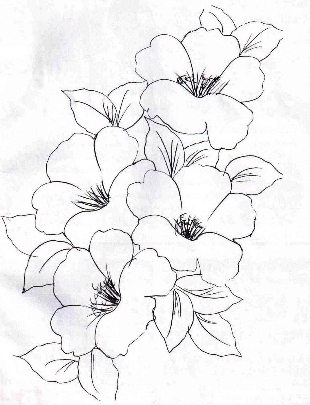 Riscos de flores para pintura em tecido - Imagui