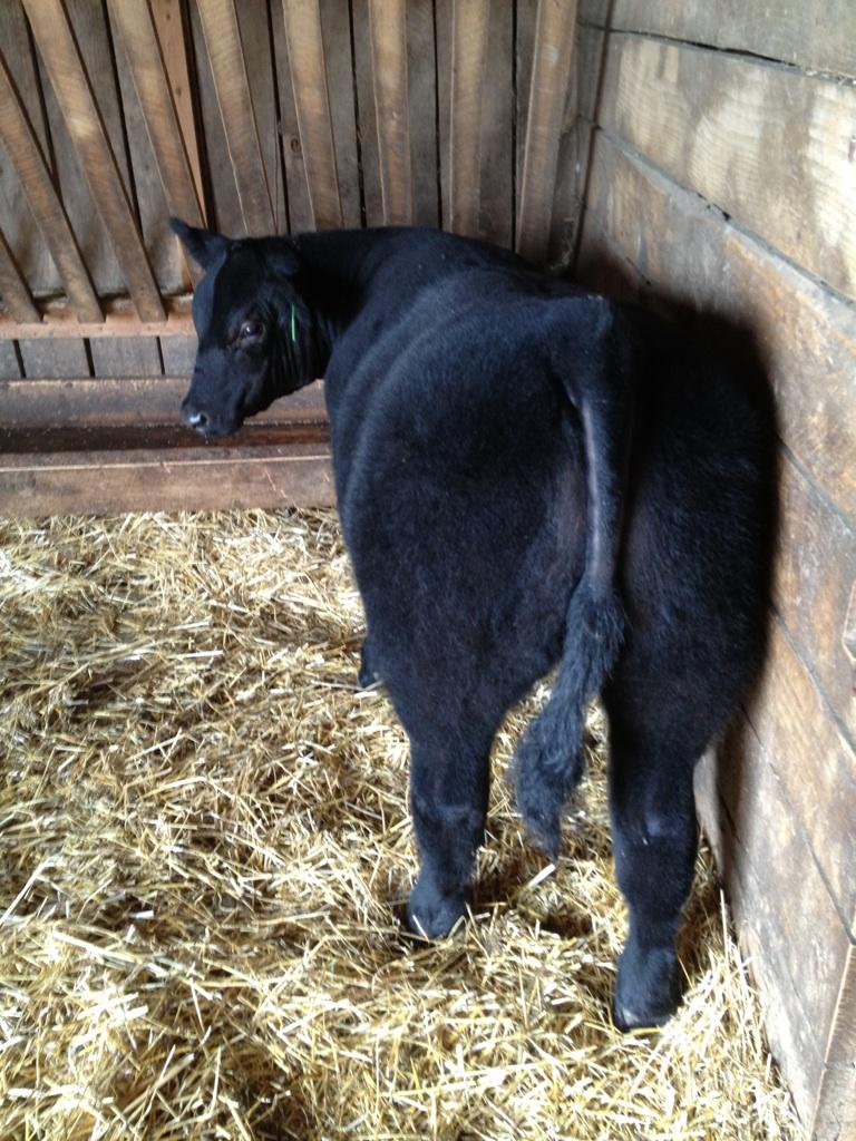 RCC Blog: From Stan Soehnlen