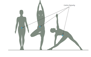 Biomechanics of a Netball shot.: Biomechanics of Netball shot.