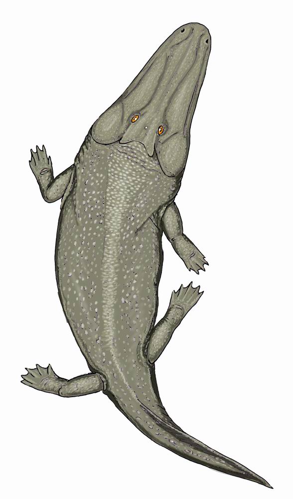 Los animales en la prehistoria: Cherninia denwai