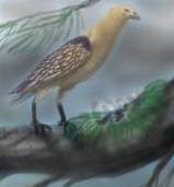 Fossil Adventure: Aparecieron las aves..... y vienen volando.