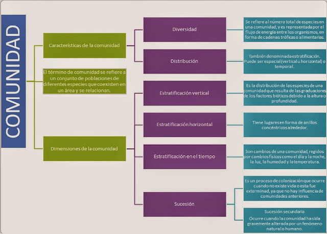 Little World: CARACTERÍSTICAS DE COMUNIDAD Y POBLACIÓN