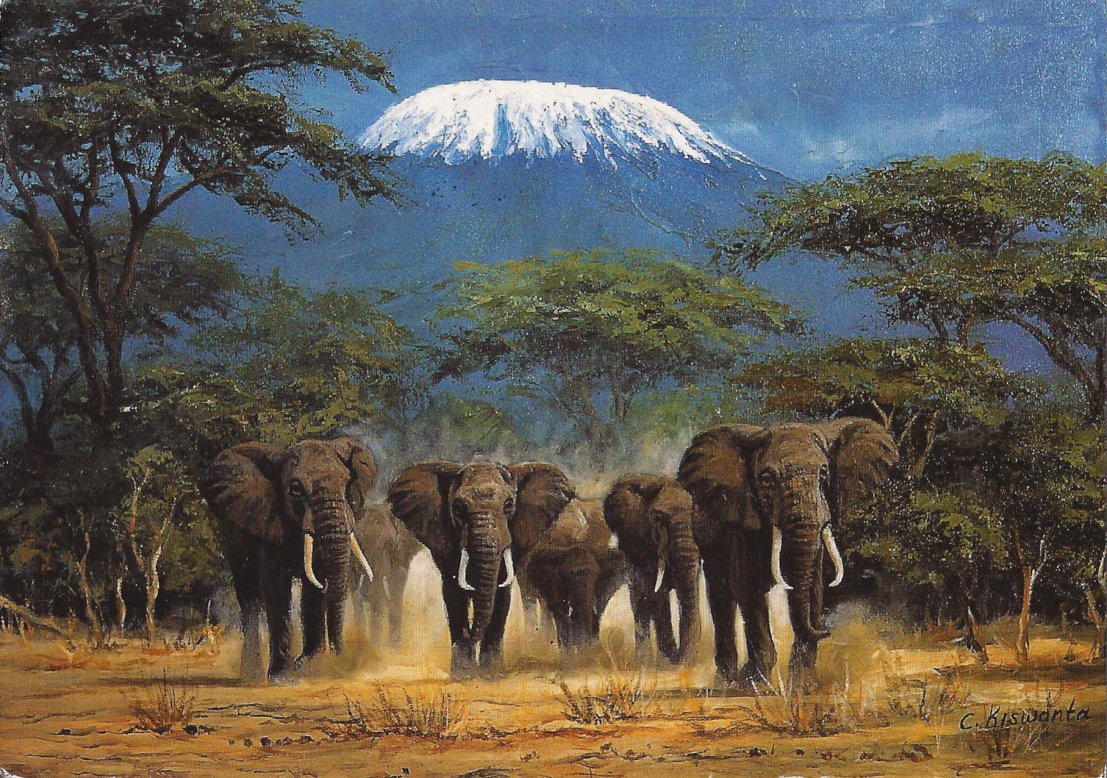 A Journey of Postcards: Elephants at Mount Kilimanjaro