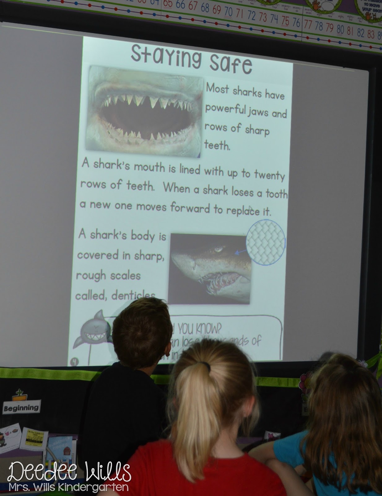 Ocean Week Lesson Plans for Kindergarten & 1st