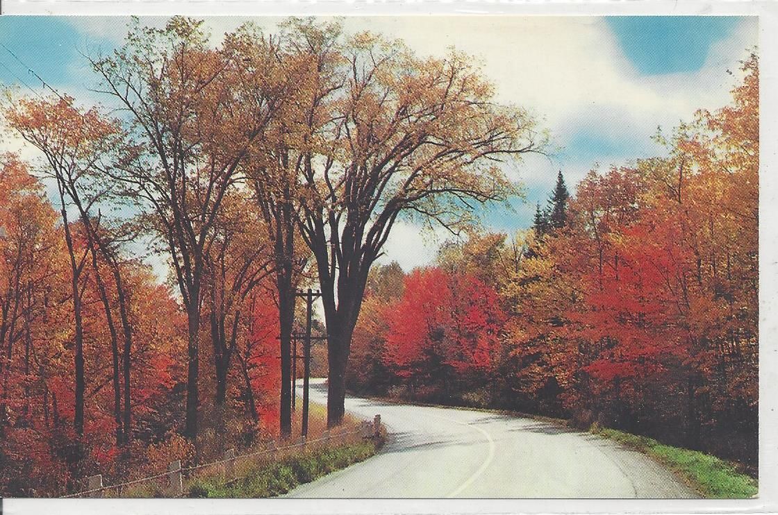 gold country girls: It's Autumn: Sharing Vintage Fall Postcards