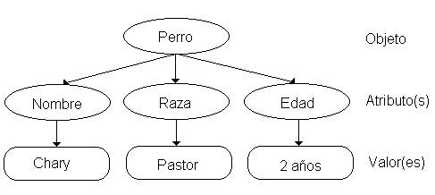 Estrategias de Aprendizaje: Redes Semánticas