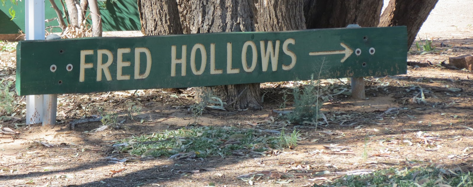 Wishful Linking Family History Blog: Walking in their footsteps Part 8 ...