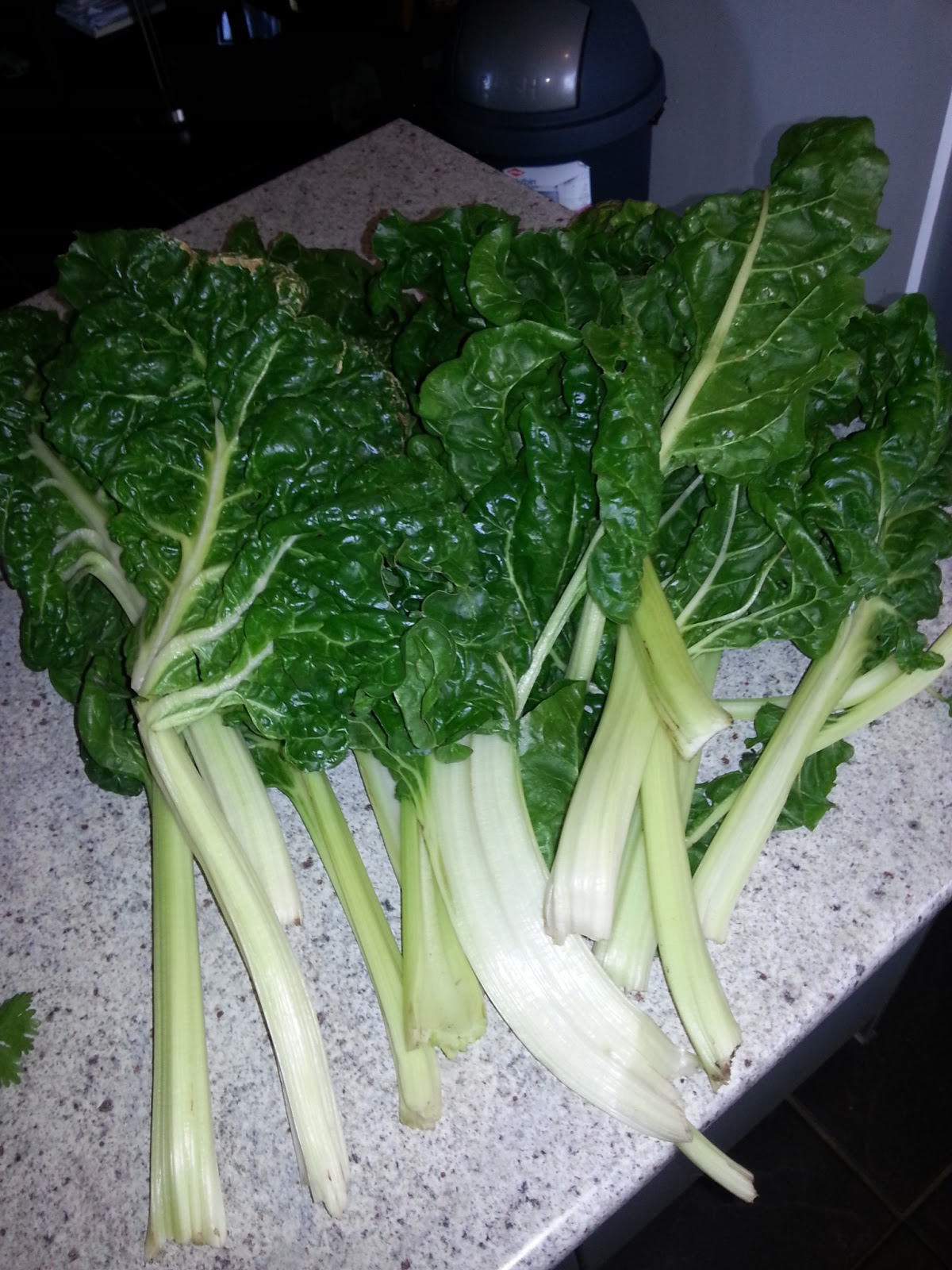 Super Silverbeet ~ A Canberra Vegie Garden