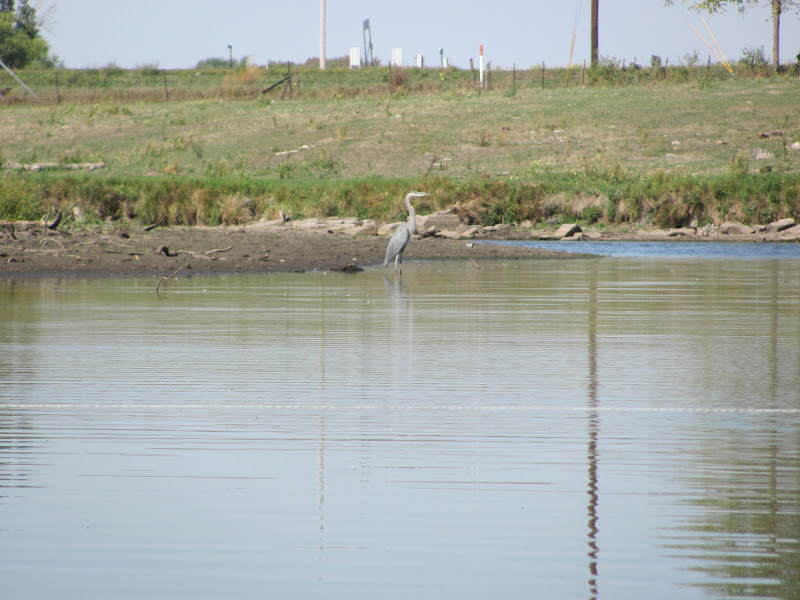 Kayaking the Lakes of South Dakota: Split Rock Lake (Minnesota)