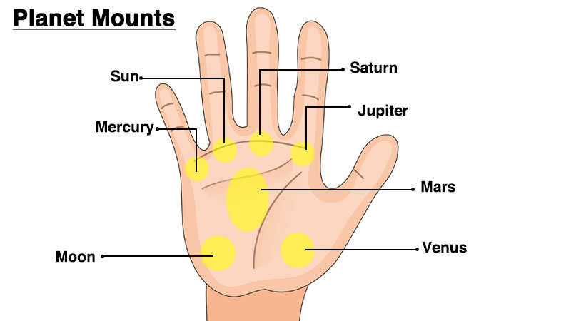 AstroSage Magazine: Palmistry: Discover the Health Secrets of Your Life