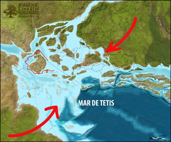 Curios: La única roca que se come