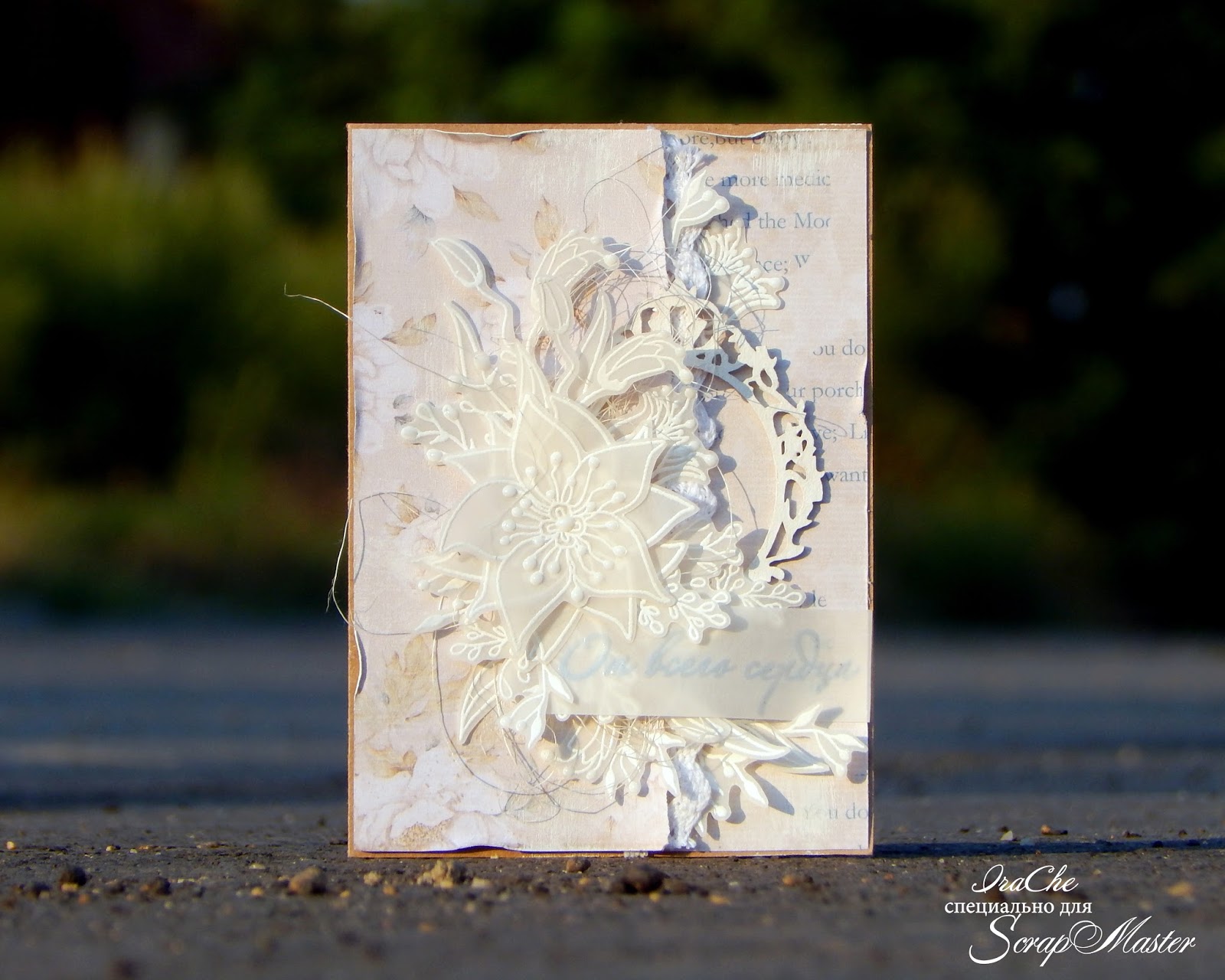 ScrapMaster: Универсальный скетч №10