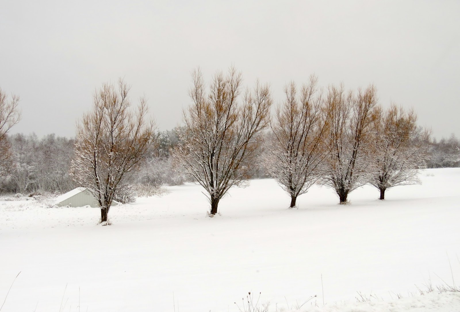 The Long Awaited Home: My Neck of the Woods - Southern New Hampshire